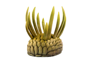 Strange sea animals from the Cambrian Period - Andy Lickley