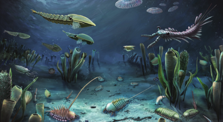 Strange sea animals from the Cambrian Period - Andy Lickley